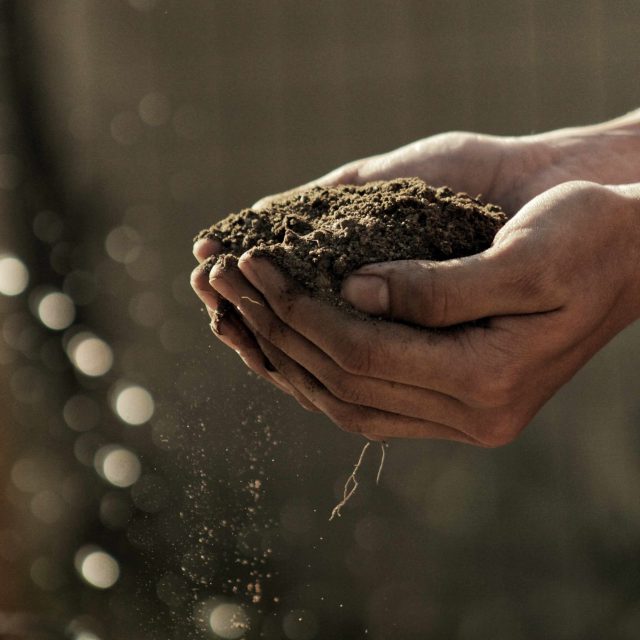 Agriculture de conservation : les valeurs d'Actisol - ACTISOL